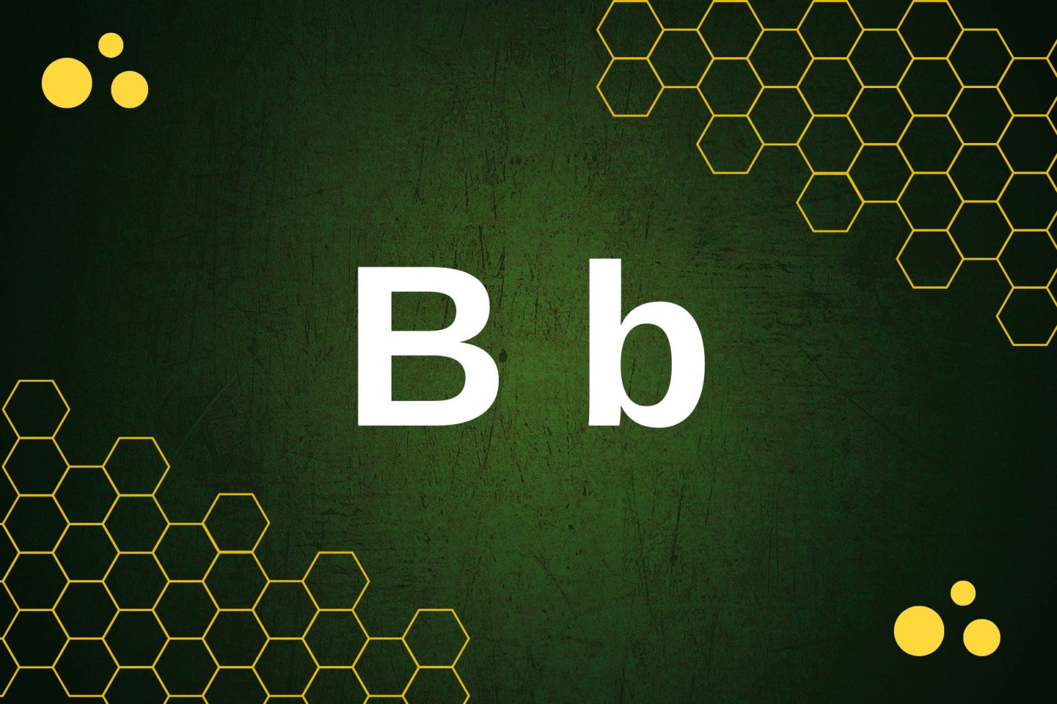 Atividades com a Letra B de forma Maiúscula e Minúscula