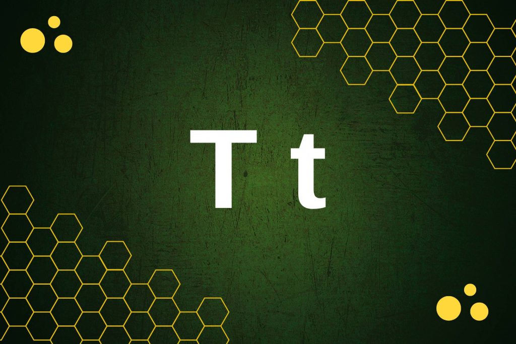 Atividades com a Letra T de forma Maiúscula e Minúscula