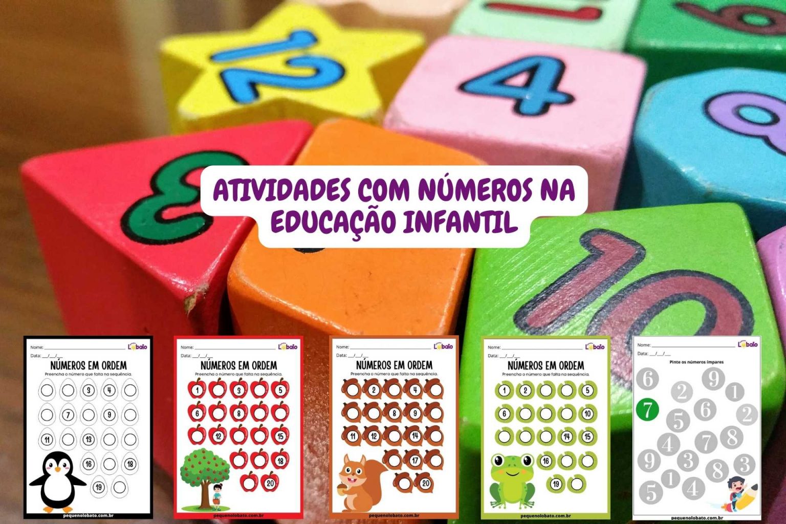 Projeto Numeros Na Educação Infantil - FDPLEARN