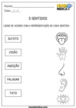 20 Atividades de Ciências para Imprimir