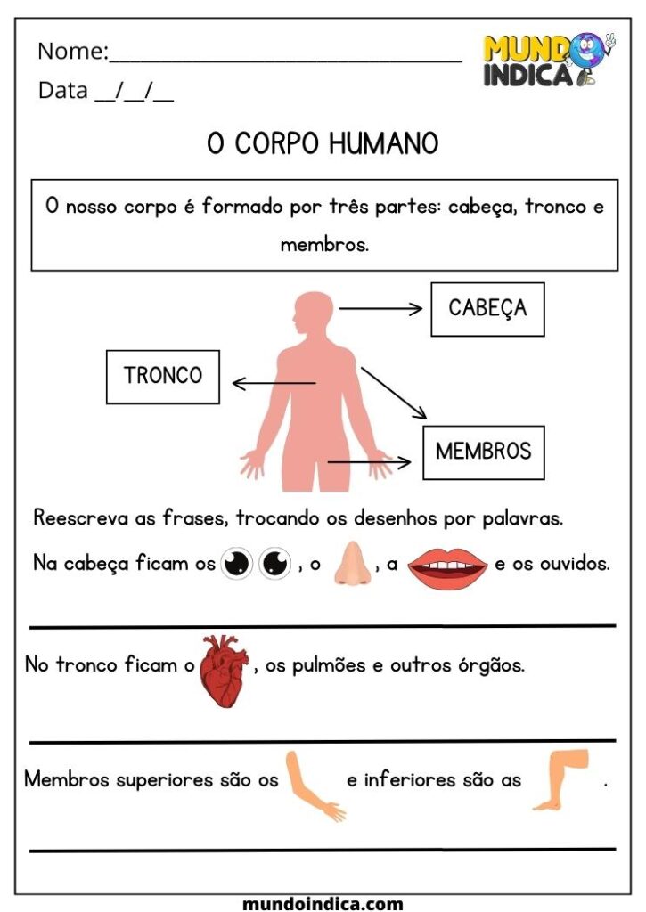 20 Atividades de Ciências para Imprimir