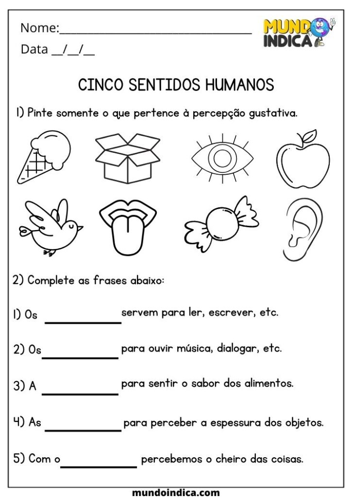 20 Atividades de Ciências 1 Ano Fundamental para Imprimir