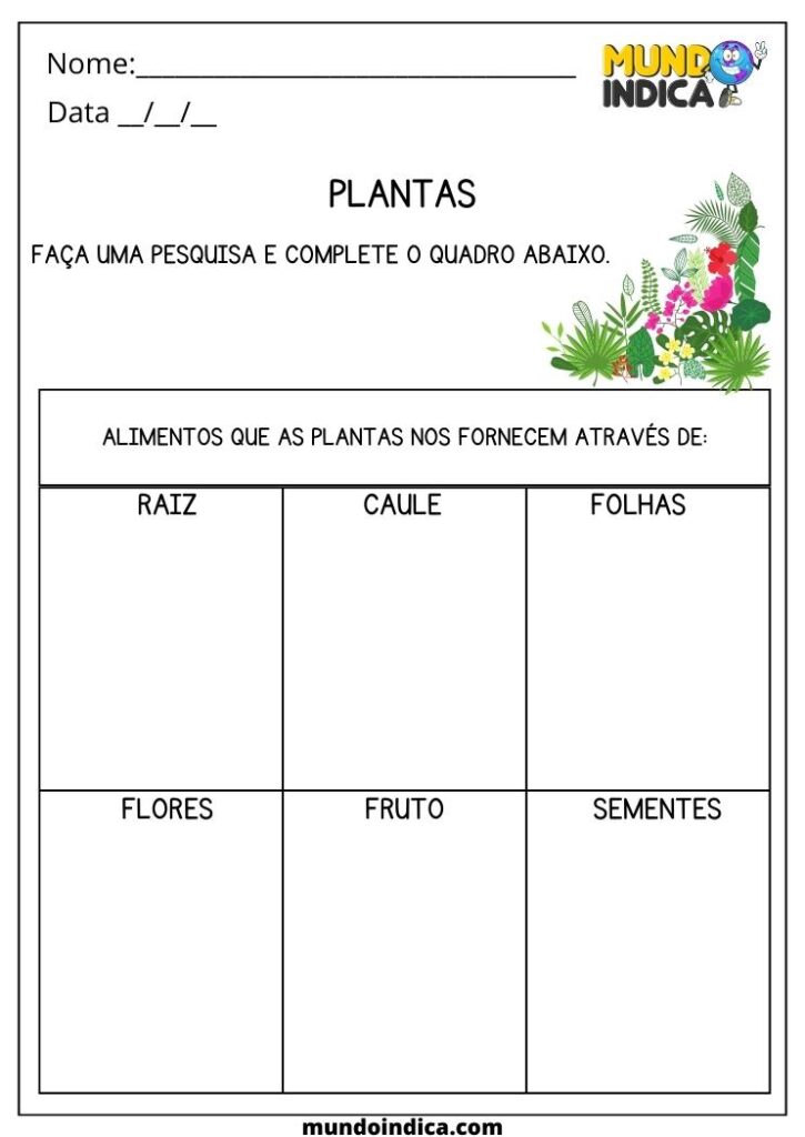 20 Atividades de Ciências 2 Ano Fundamental