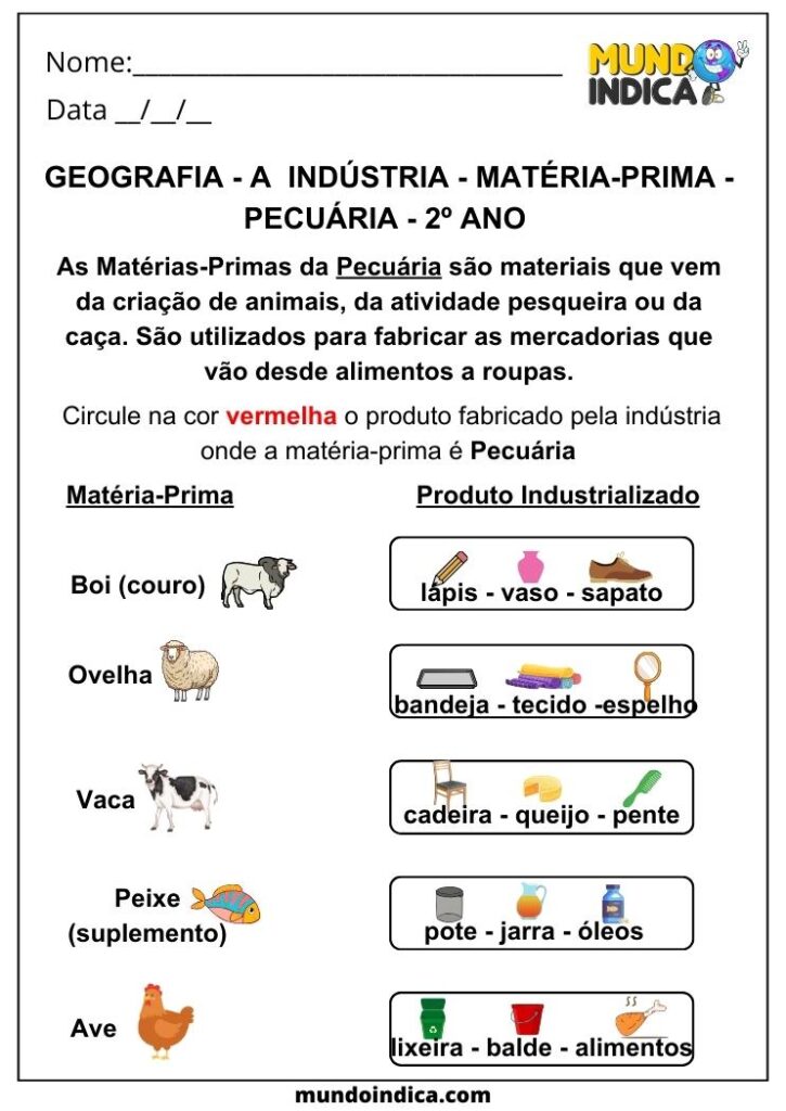 20 Atividades de Geografia para o 2 ano do Ensino Fundamental