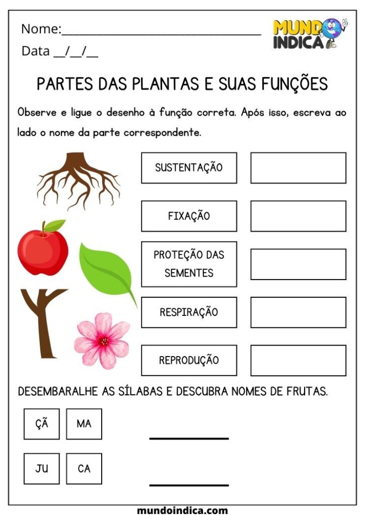 20 Atividades de Ciências 3 Ano Fundamental
