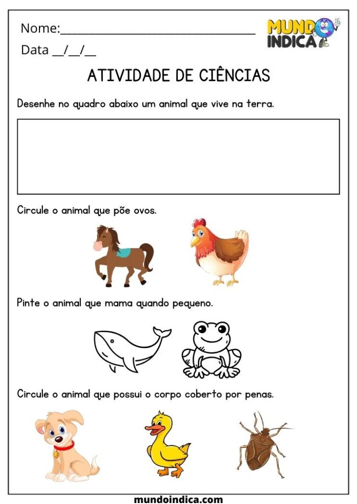 20 Atividades de Ciências 3 Ano Fundamental 20 Atividades de Ciências 3 Ano Fundamental
