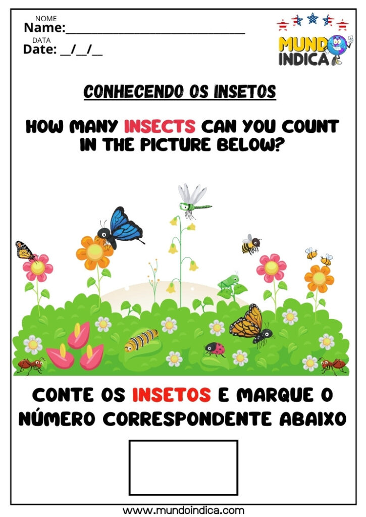 5 Atividades de Inglês com Insetos para Imprimir