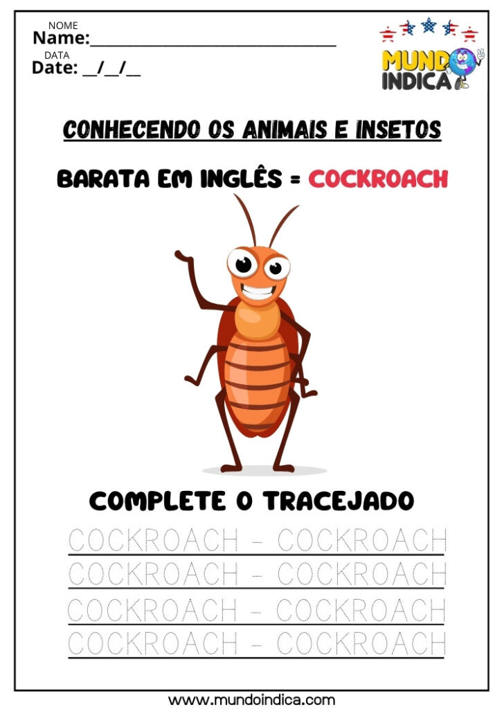 5 Atividades de Inglês com Insetos para Imprimir