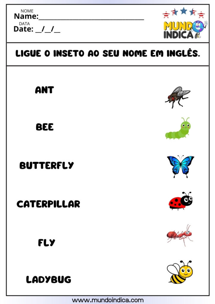 5 Atividades de Inglês com Insetos para Imprimir