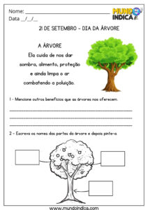 10 Atividades para o Dia da Árvore