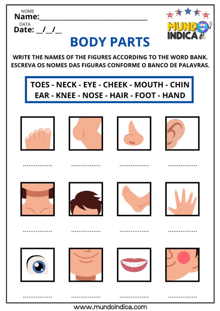 10 Atividades de Inglês sobre Partes do Corpo Humano para Imprimir