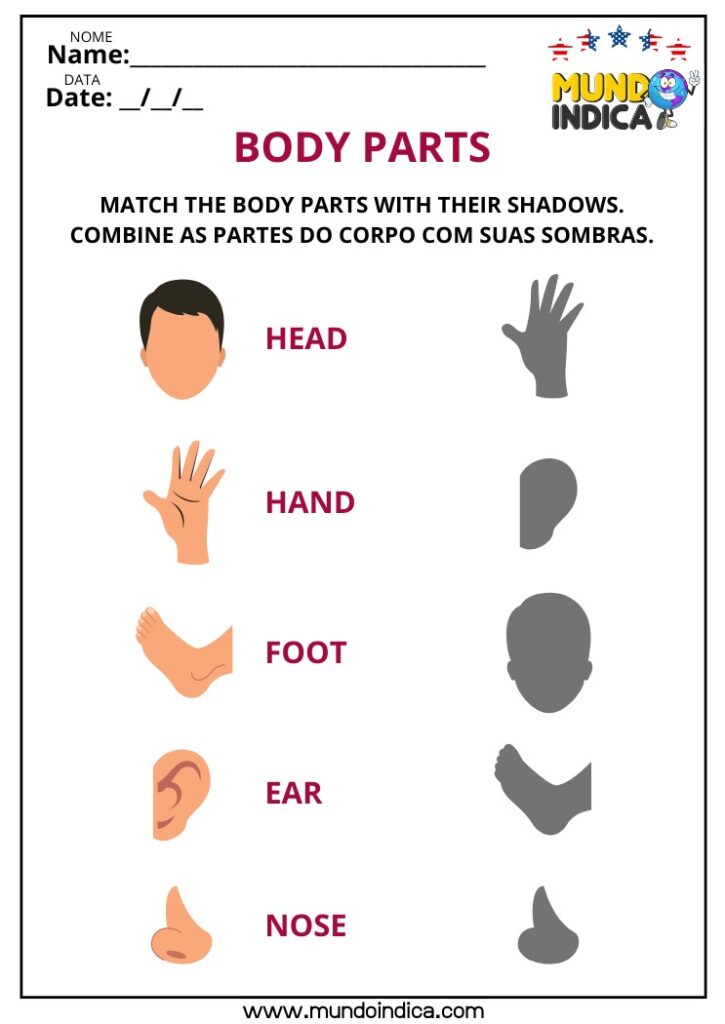 10 Atividades de Inglês sobre Partes do Corpo Humano para Imprimir