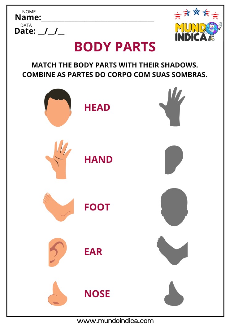 10 Atividades de Inglês sobre Partes do Corpo Humano para Imprimir