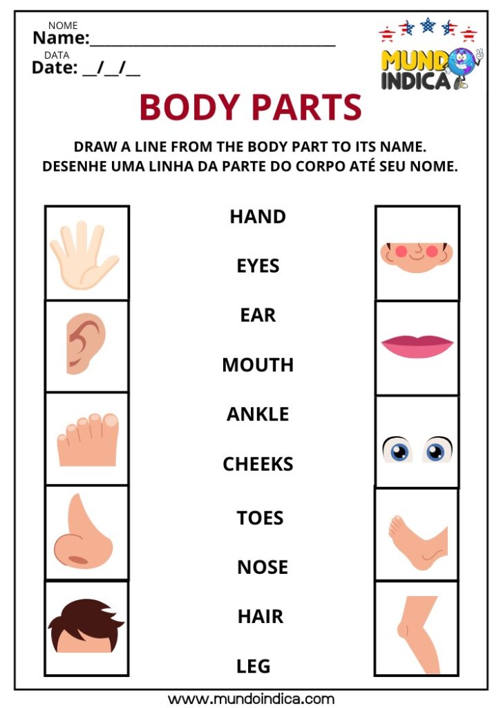 10 Atividades de Inglês sobre Partes do Corpo Humano para Imprimir