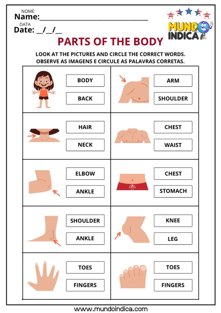 10 Atividades de Inglês sobre Partes do Corpo Humano para Imprimir